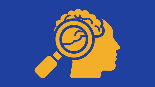 Epilepsy Ireland to fund new studies under HRB -HRCI Joint funding ...